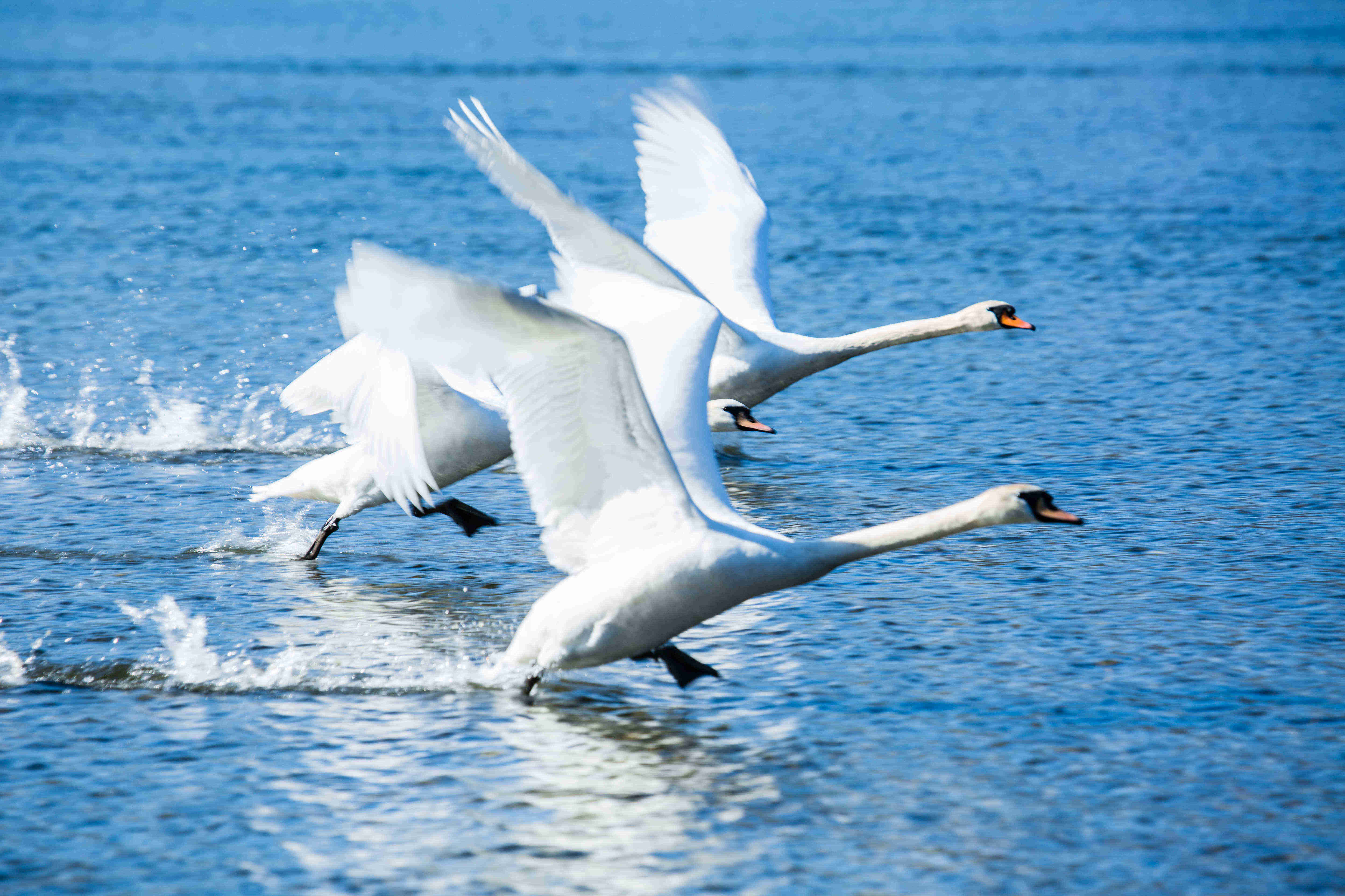 Swarn - Low-tech innovations crafters